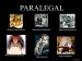 Paralegal myths debunked | One Legal